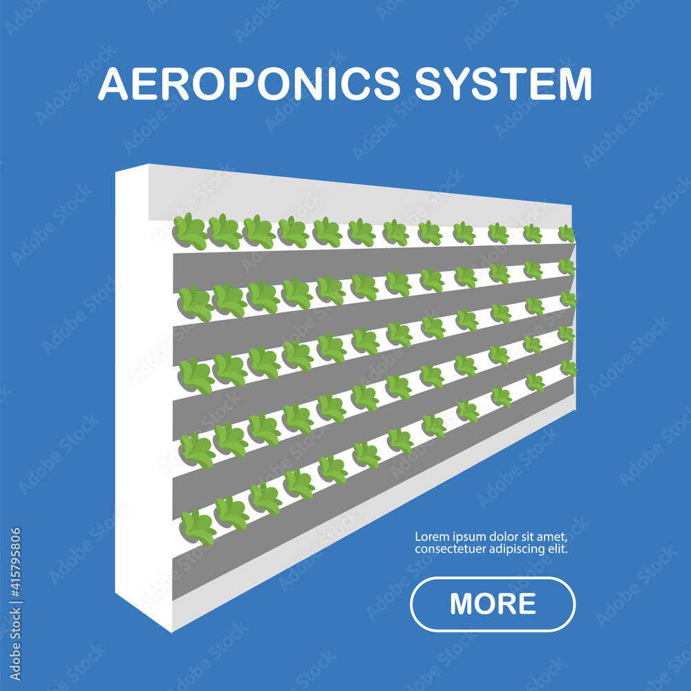 Aeroponic wall.Vertical aeroponic system for growing plants without ...