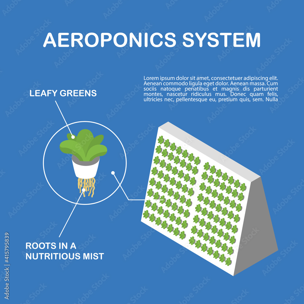 Aeroponic installation in the form of a pyramid. Vertical aeroponic ...