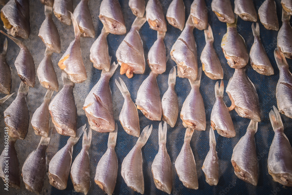 The fish is dried in the sun to make salted fish. At Ban Bang Saray ...