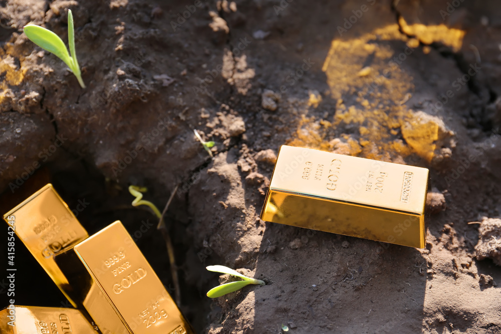 Gold bars as a symbol of chernozem value Stock Photo | Adobe Stock