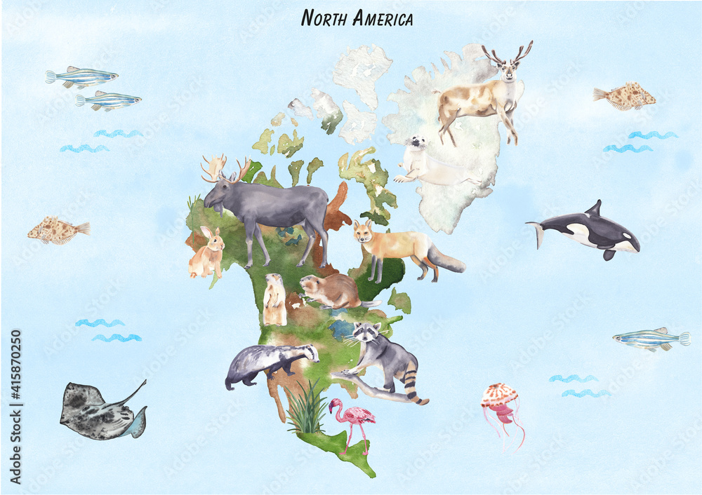 North America map with animals Watercolor world animal map Cute animals ...