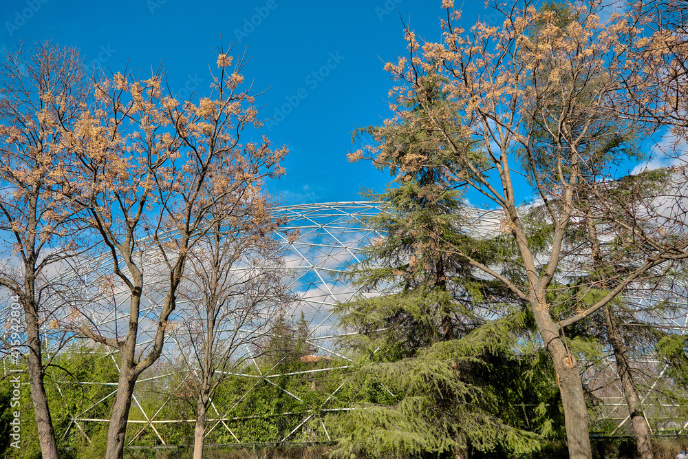 Many type of trees and plants with magnificent blue sky and white cloud ...