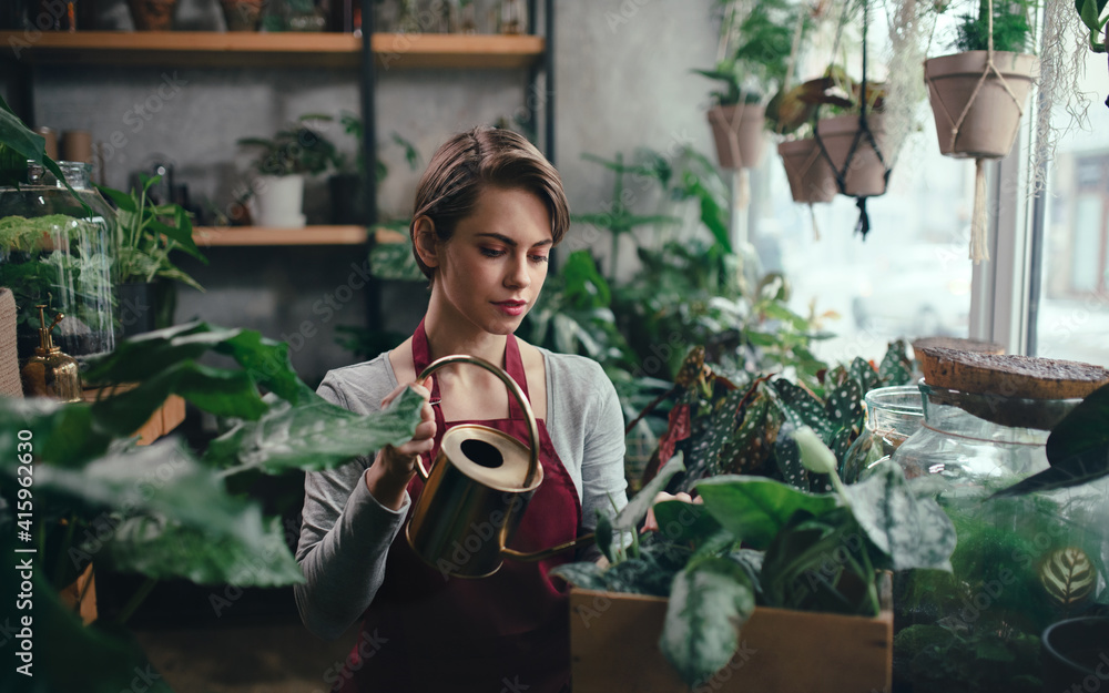 Shop assistant working in indoor potted plant store, small business ...