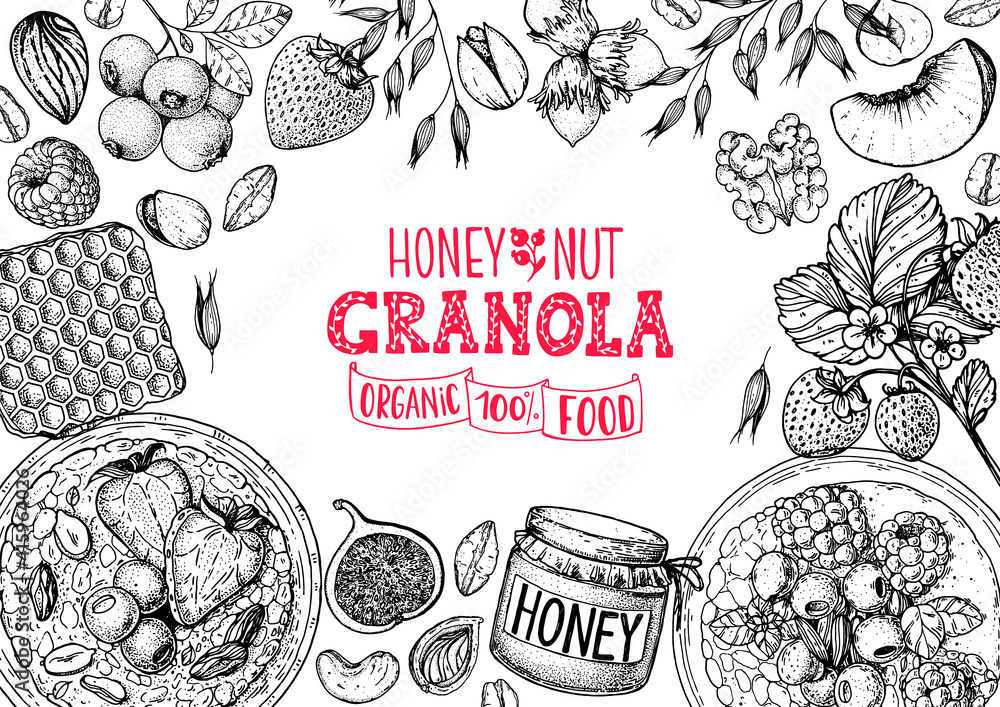 Granola ingredients illustration. Oat flakes , berries, fruits and nuts ...
