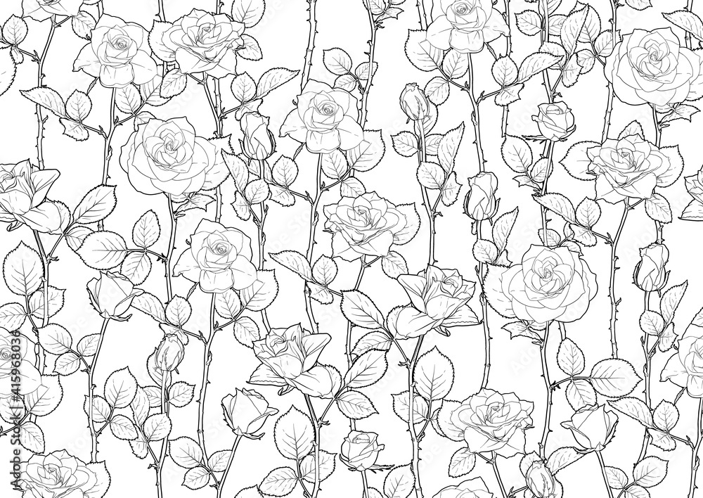 Seamless pattern with roses flowers. Outline vector illustration. In ...
