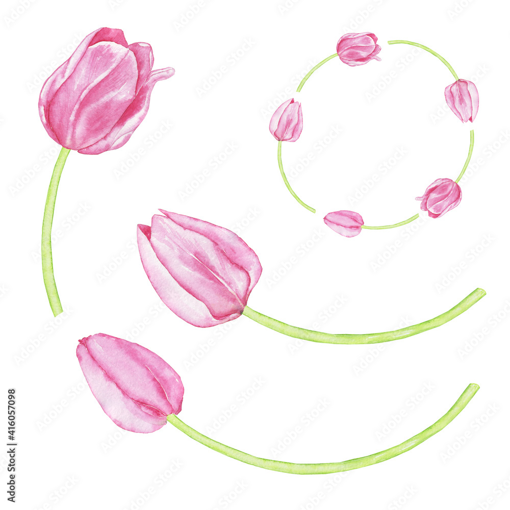 Pink tulip round frame and elements isolated on white background ...