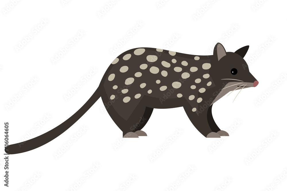 Cartoon Quoll