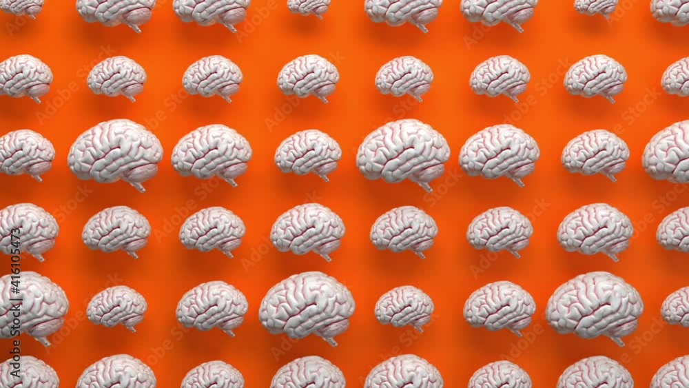 Real human brain internal cerebrum organ model seamless looping ...