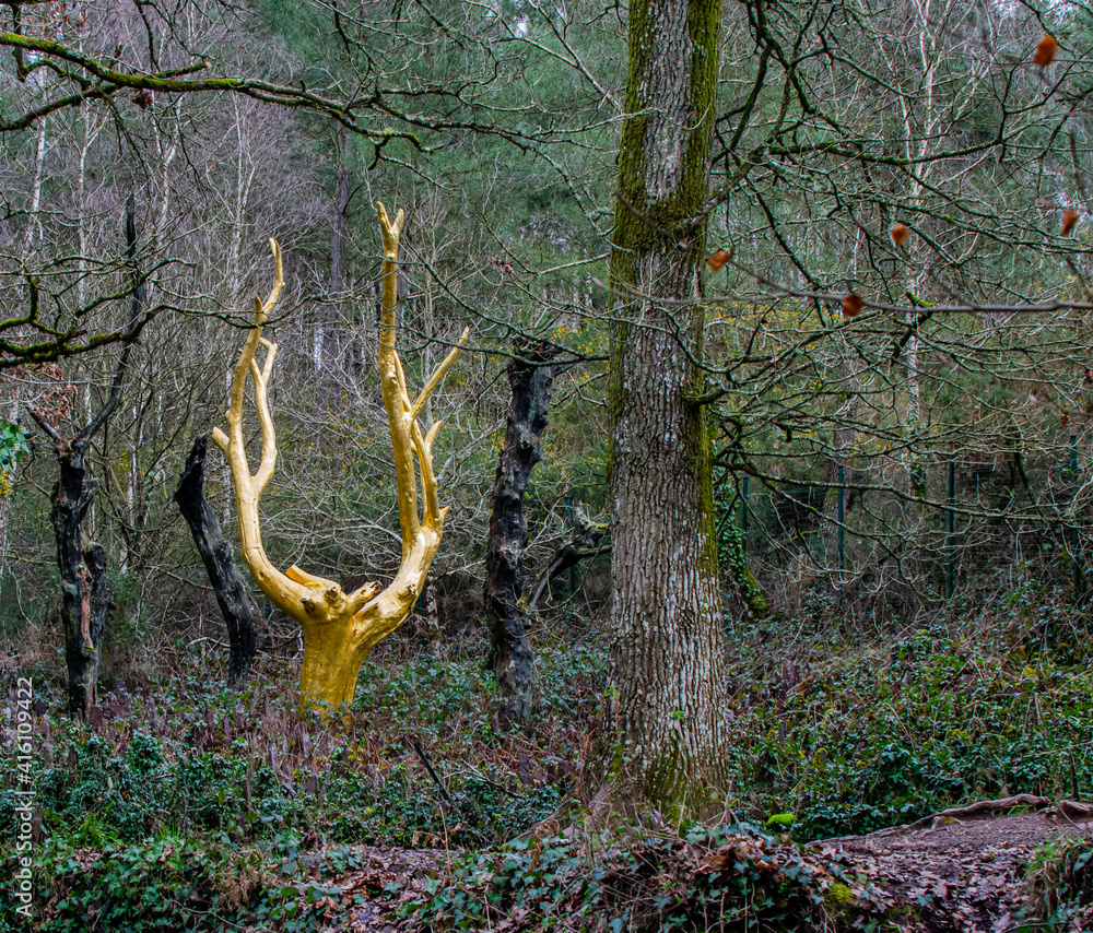 Foto de Brittany, France; February 17, 2021: the golden tree of the ...