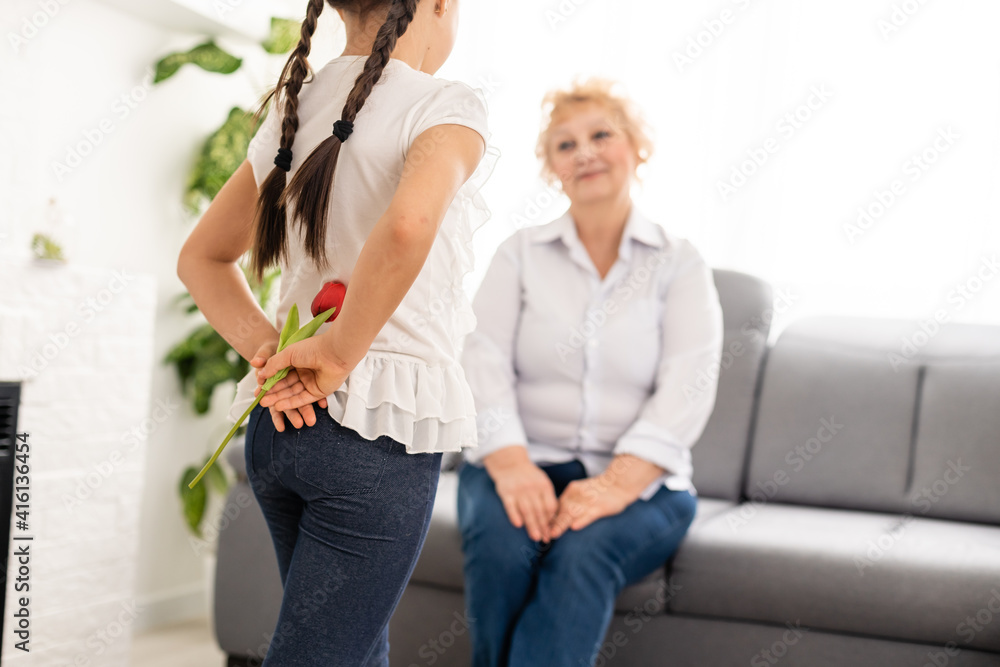 Cute girl giving a flower to her grandmother. Happy senior grandma ...