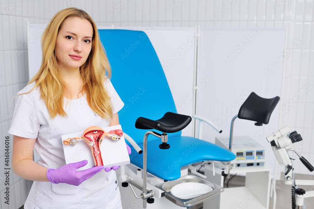 young attractive female gynecologist with a model of the uterus and ...