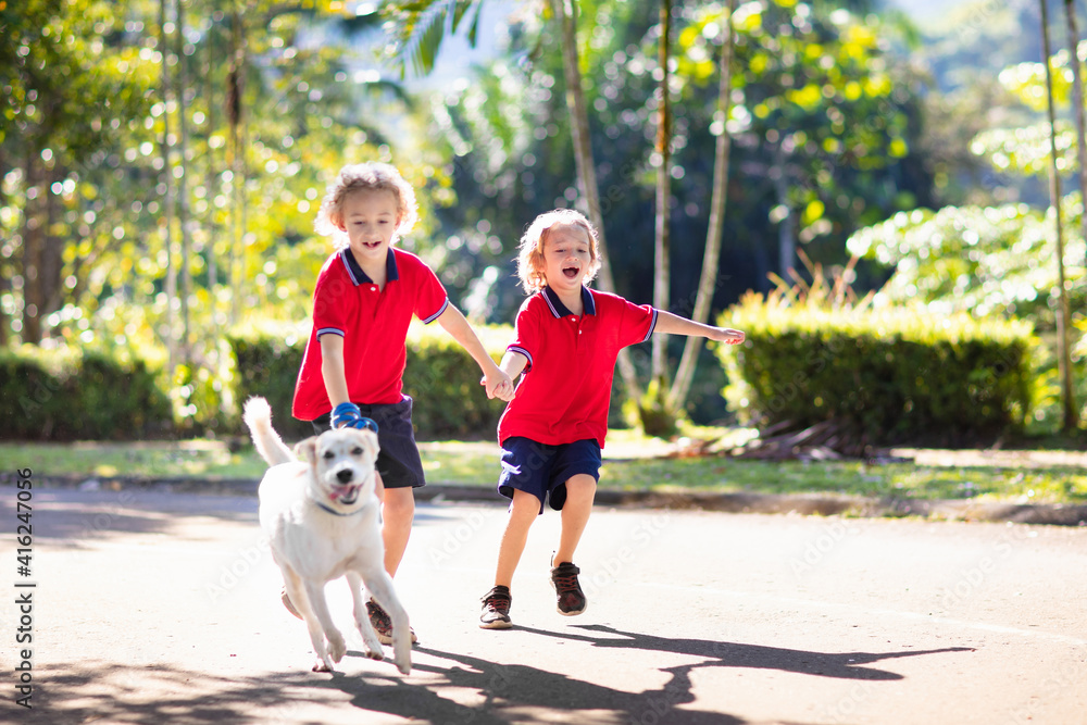 Child walking dog. Kids and puppy. Boy and pet. Stock Photo | Adobe Stock