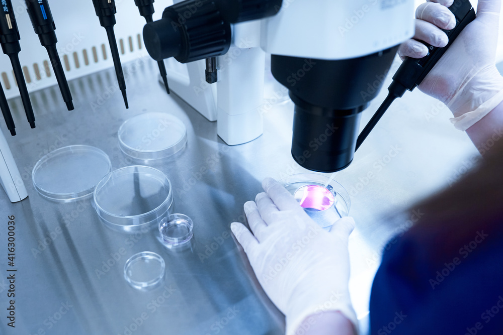 Equipment on laboratory of Fertilization, IVF. Microscope of ...