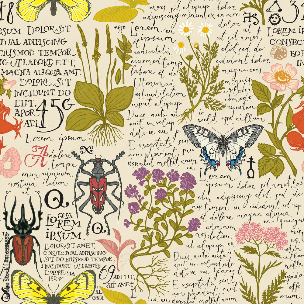 Vector seamless pattern with medicinal herbs, insects and handwritten ...