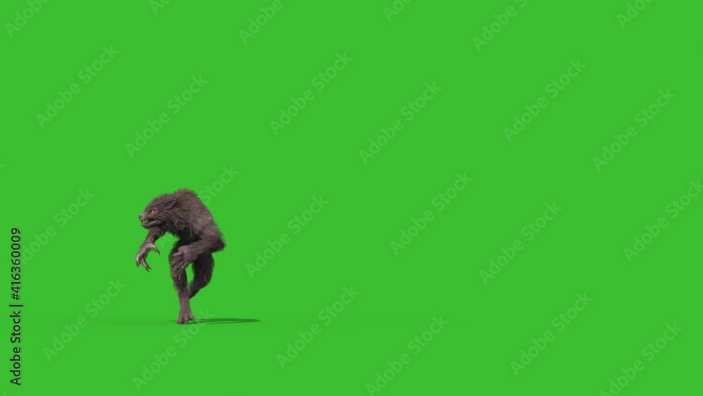 Werewolf Real Fur Green Screen Runs Front 3D Rendering Animation 4K ...