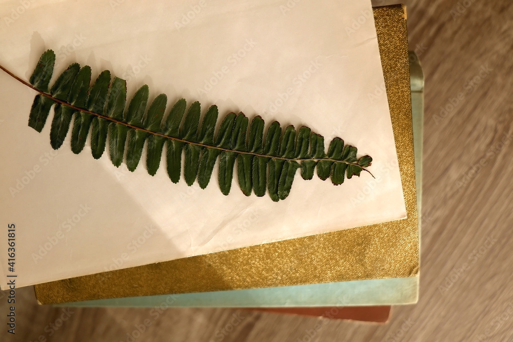 Pressed fern leaf and stack of beautiful vintage books on the table ...