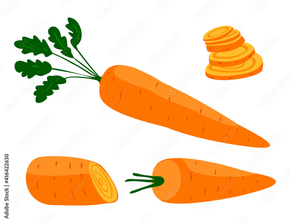 Vector illustration set, collection of different shapes carrots ...