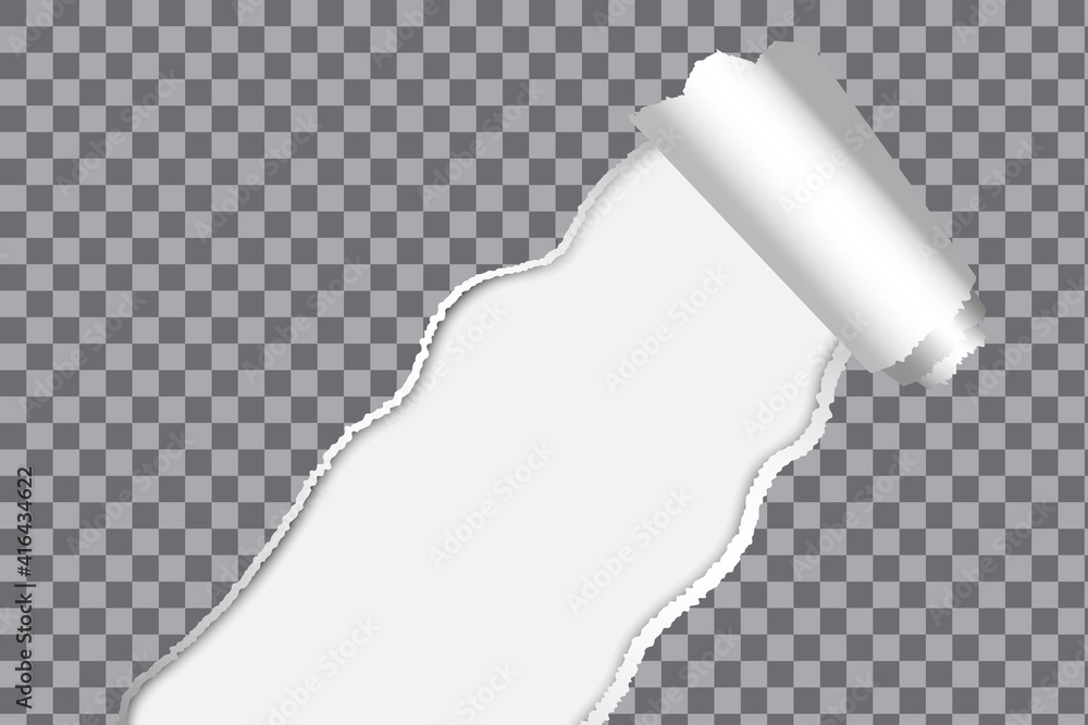 White torn paper blank, great design for any purposes. Grunge texture ...