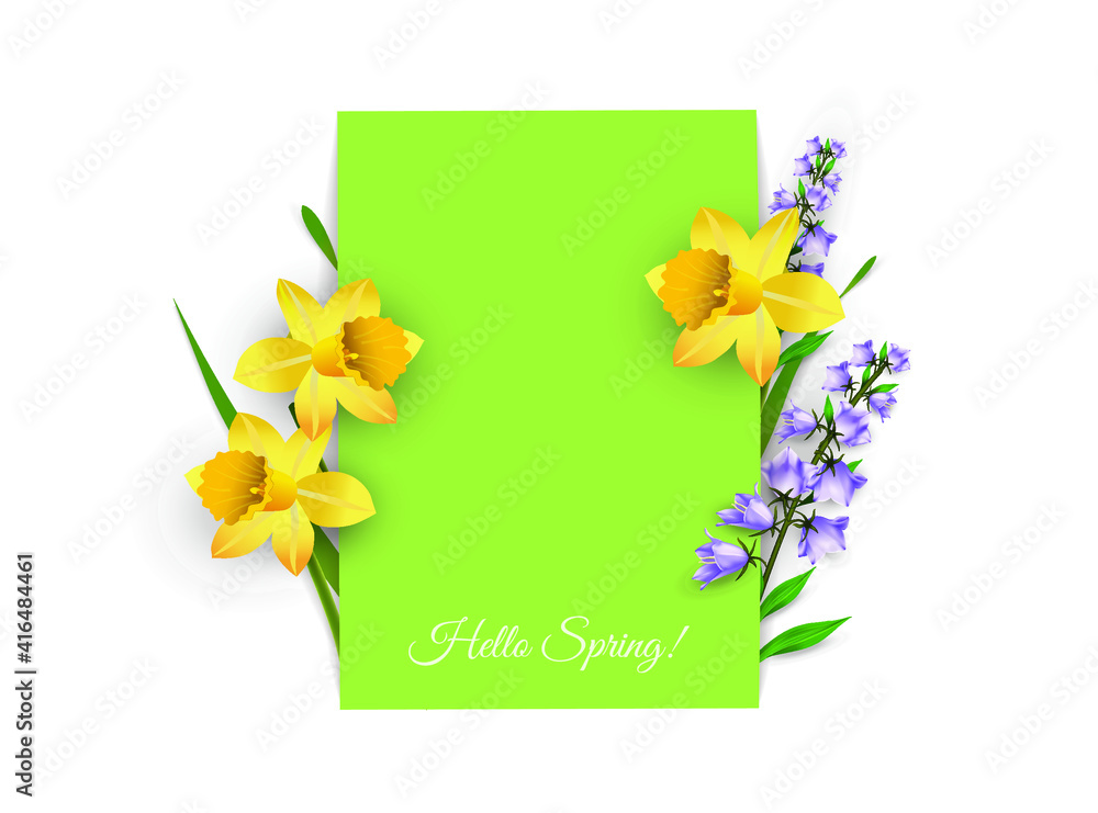 Spring flowers on white and green background with the text Hello Spring ...