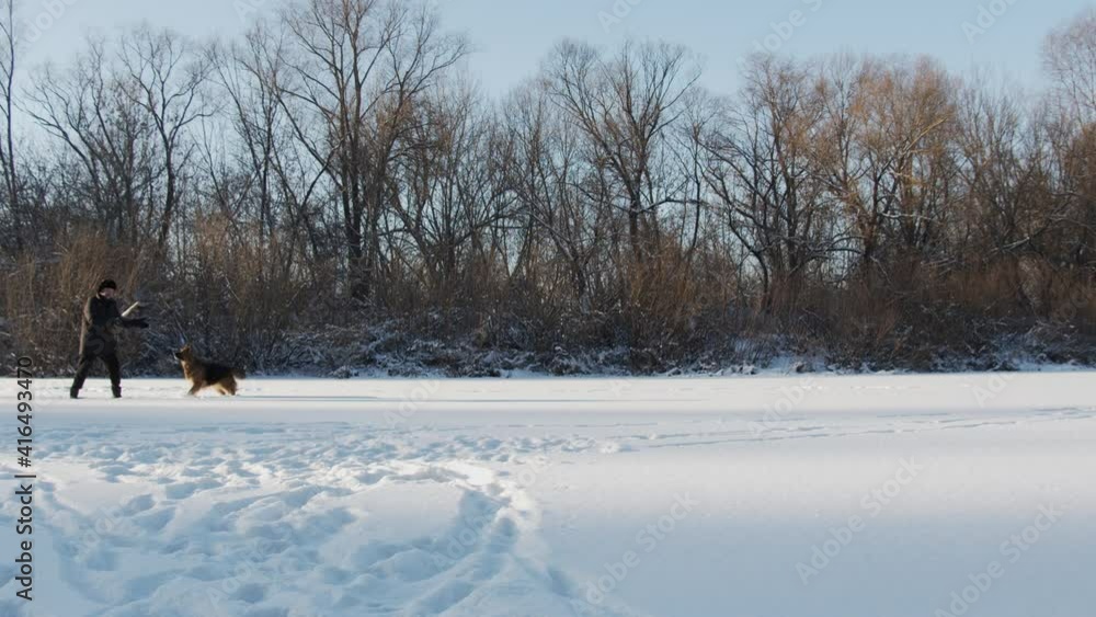 Vidéo Stock Man throws a stick training a dog a fetch command. Man ...