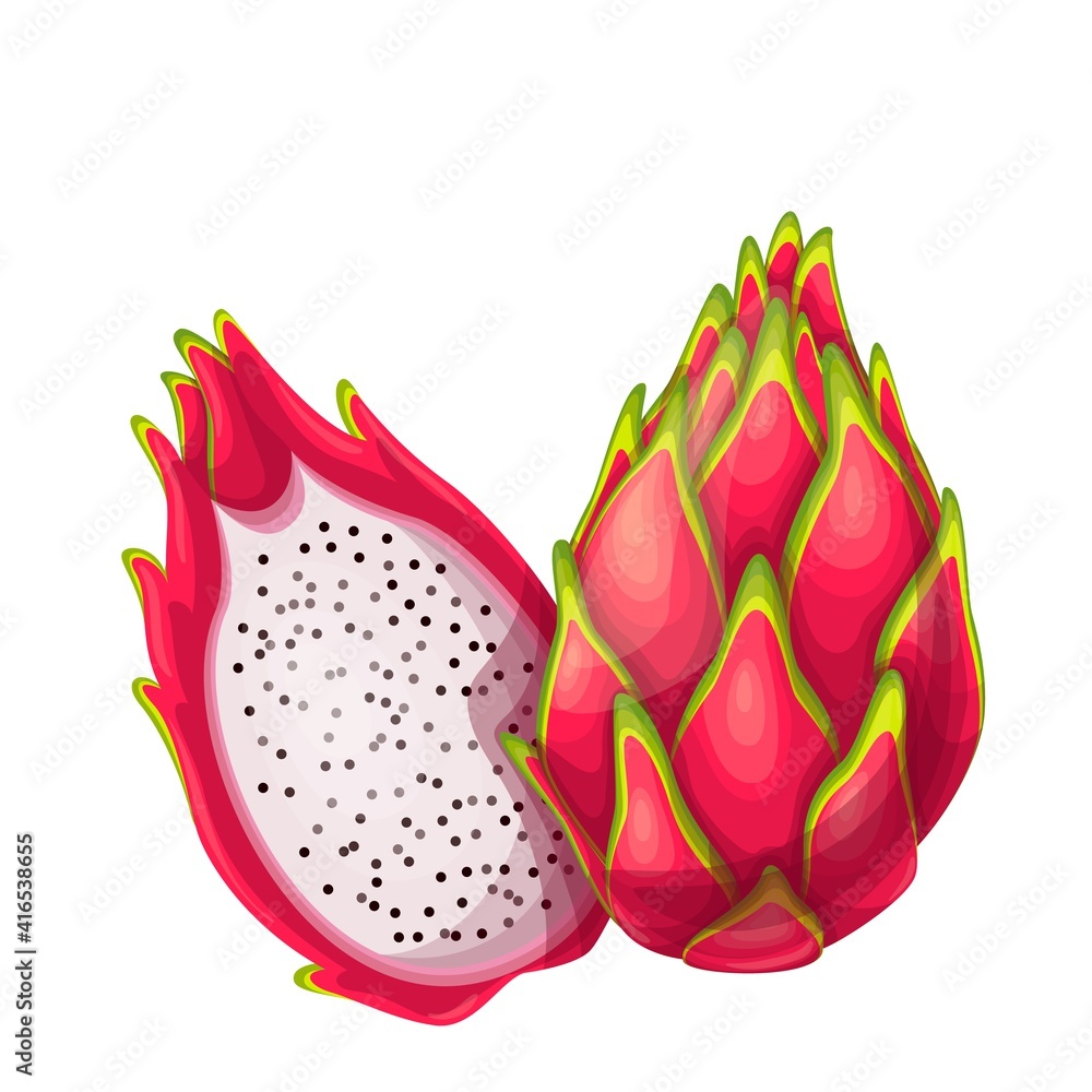 Whole and half red pitaya fruits vector illustration in cartoon style ...