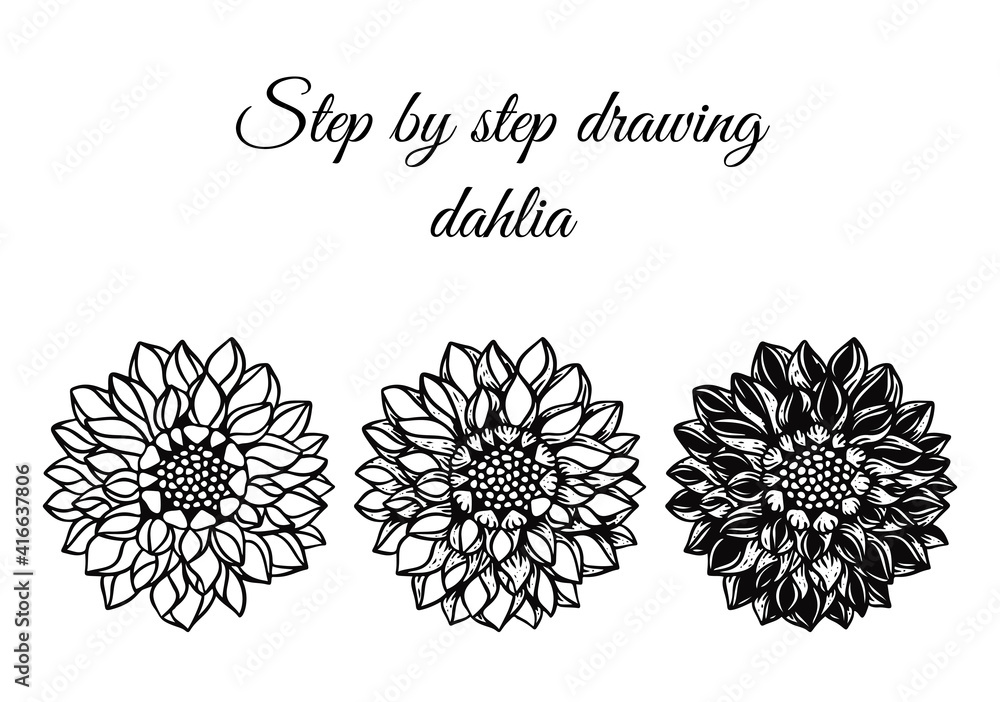 How to draw dahlia in tattoo style lesson. Step by step flower ...
