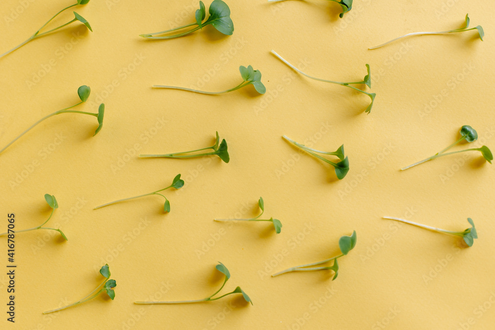 microgreen texture green yellow background. Vegan bio eco natural food ...
