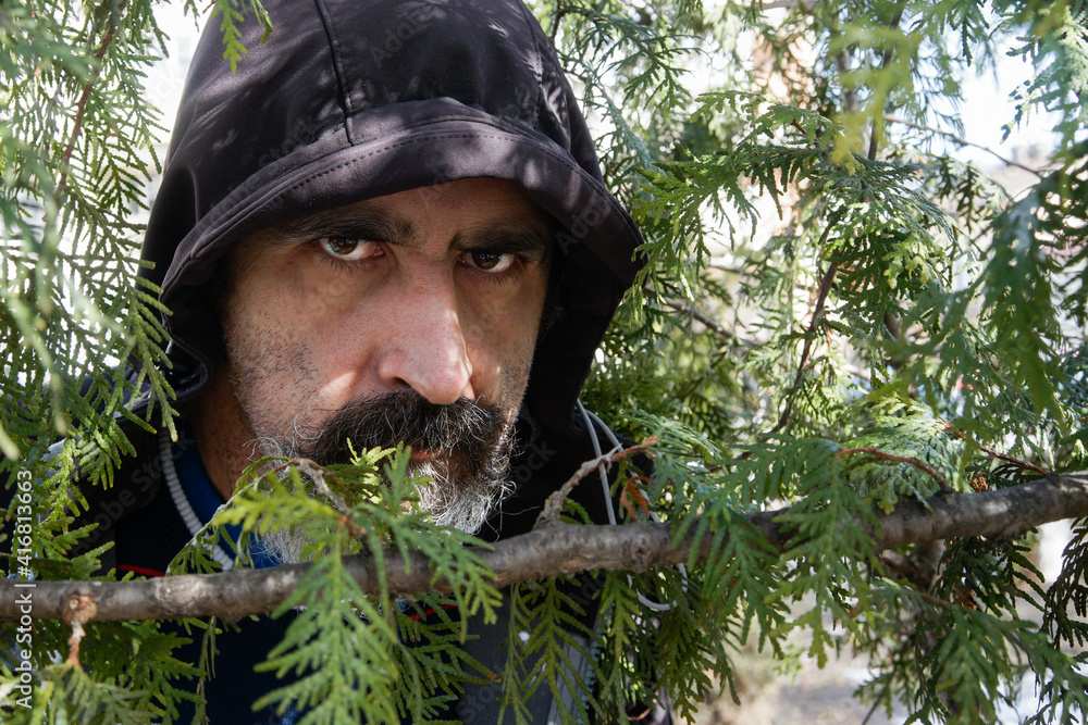 Hiding Behind A Tree