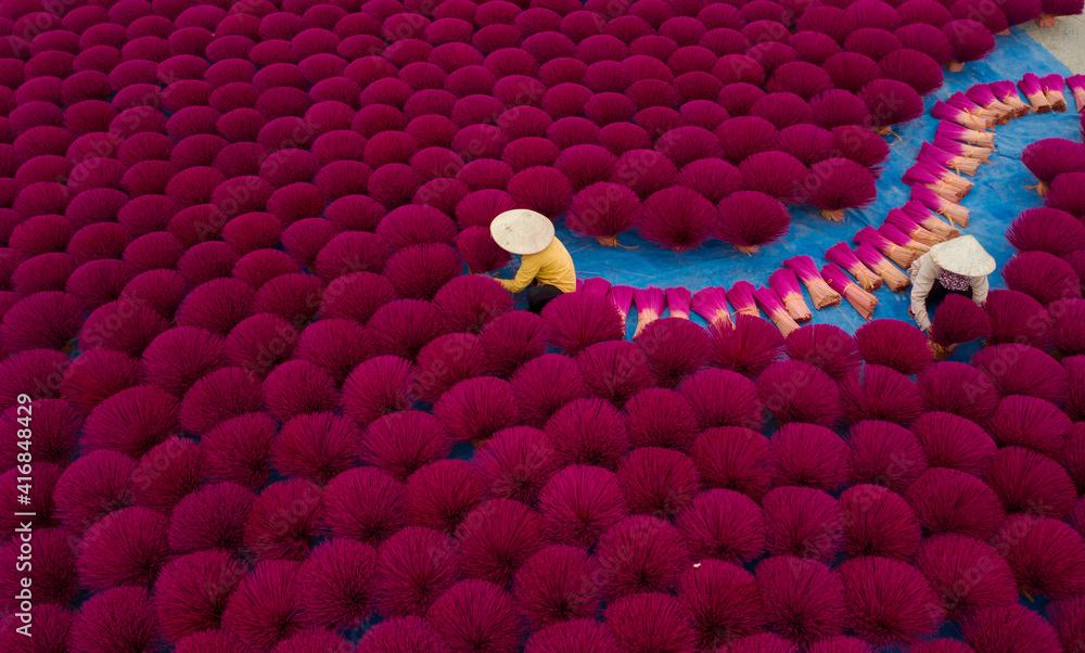 Aerial view of Vietnamese workers picking incense sticks from an ...