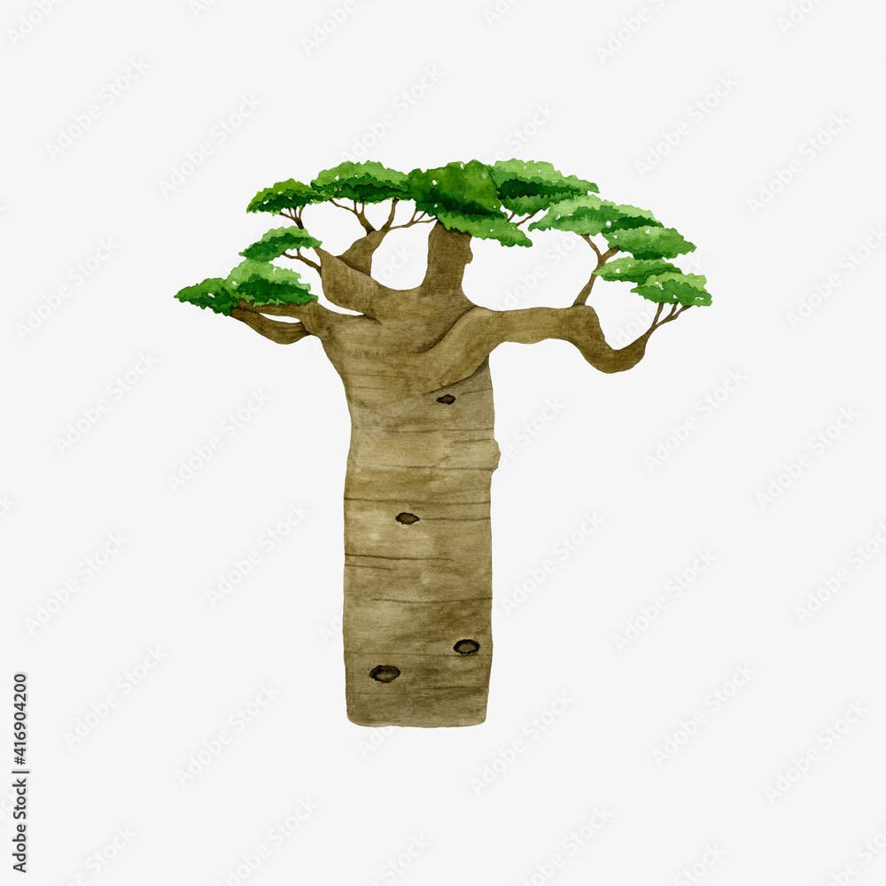 Watercolor illustration of Baobab tree. Hand drawn african tree ...