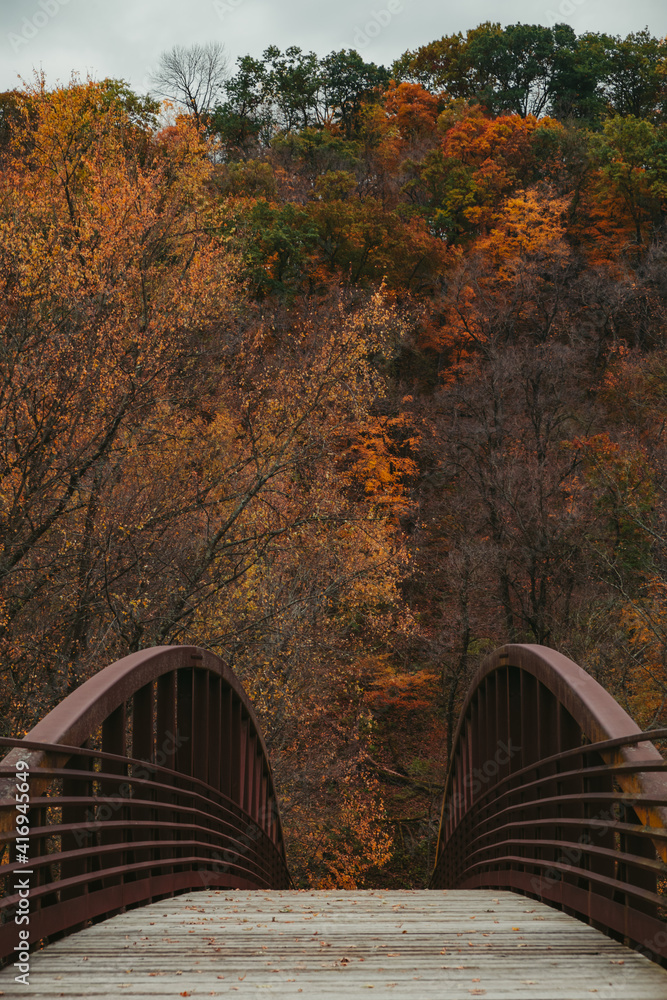 A curved steel bridge on a wooden boardwalk with towering colorful fall ...