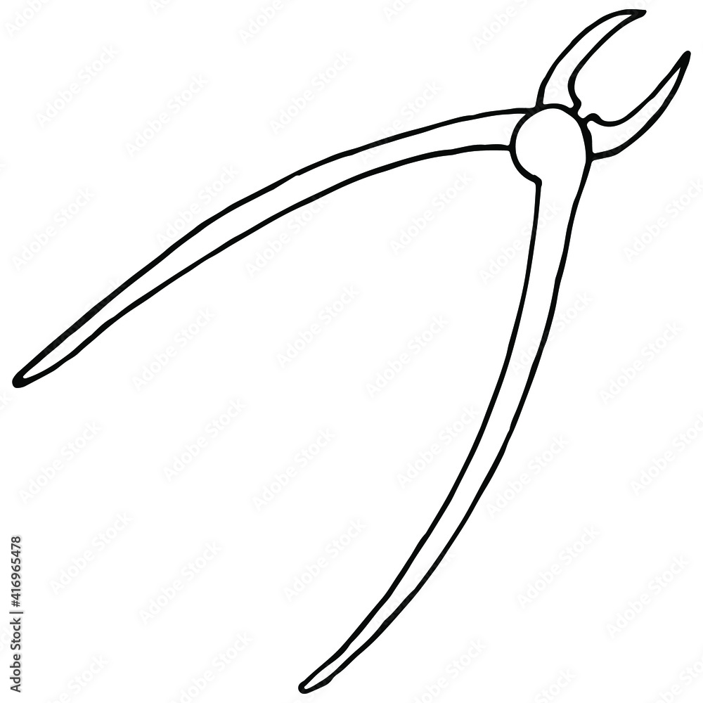 Anatomical forceps for tooth extraction, dental instrument, medical ...