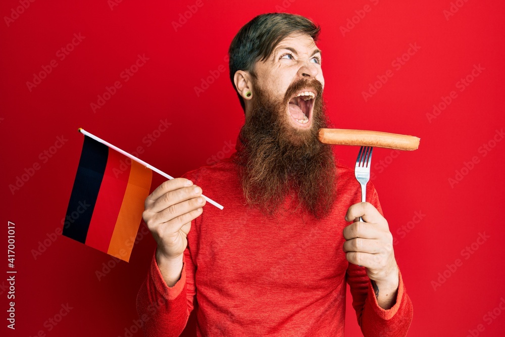 Redhead man with long beard holding fork with pork sausage and germany ...