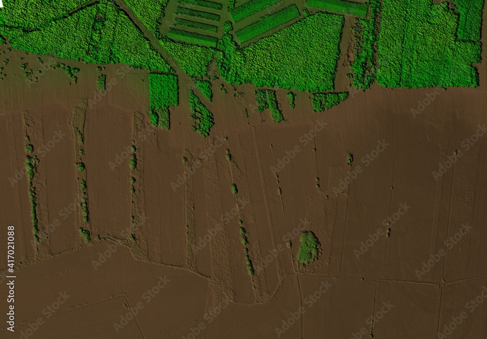 Digital elevation model of a forest area with a swampy terrain. GIS ...