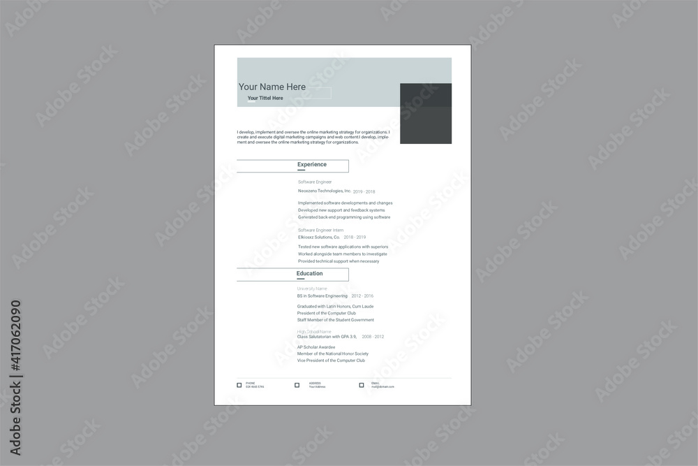 Professional Resume Template Vector Design Stock Vector | Adobe Stock