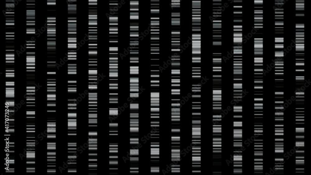 DNA barcodes . DNA barcoding . Grayscale colors. Scrolling up rising ...