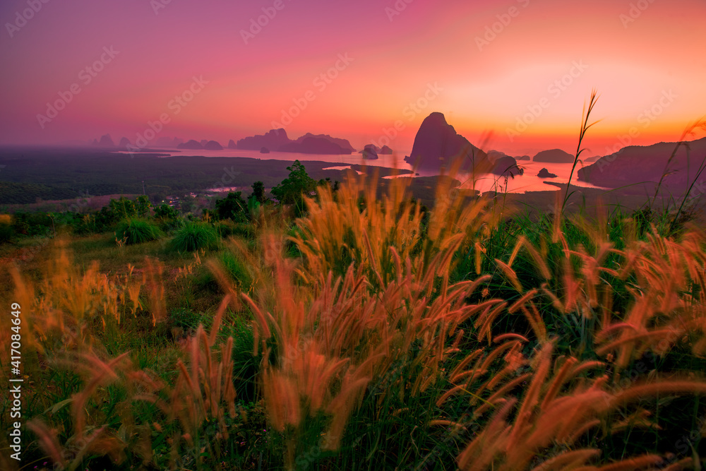 Panoramic nature background (mountains, sea, trees, twilight lights in ...