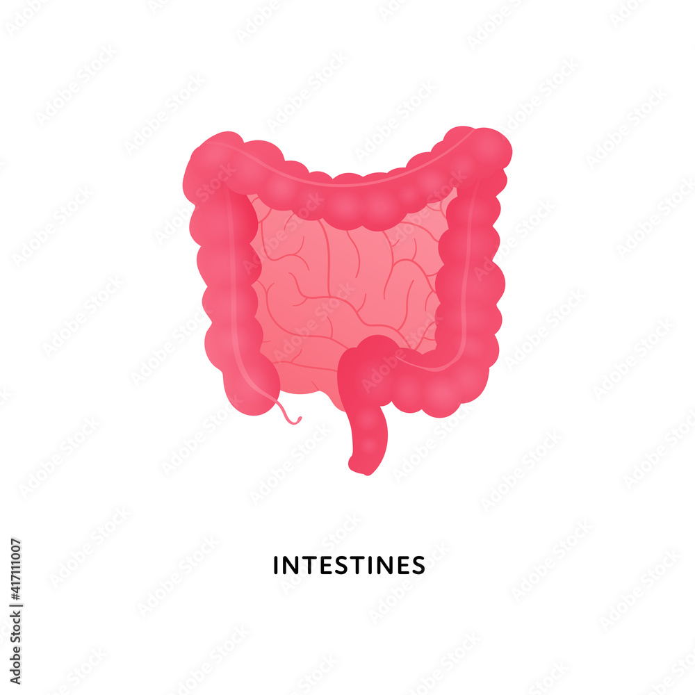 Human organ collection. Vector flat modern anatomical icon color ...