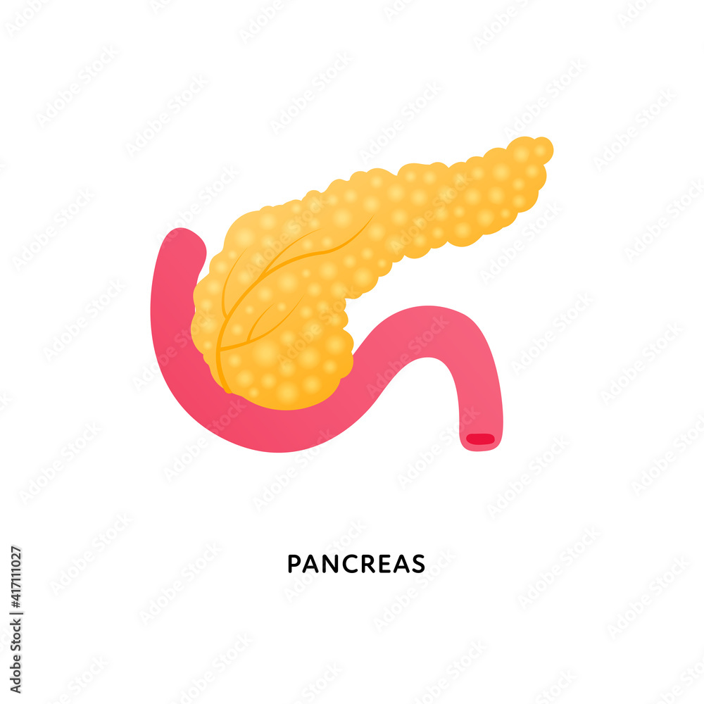 Human organ collection. Vector flat modern anatomical icon color ...