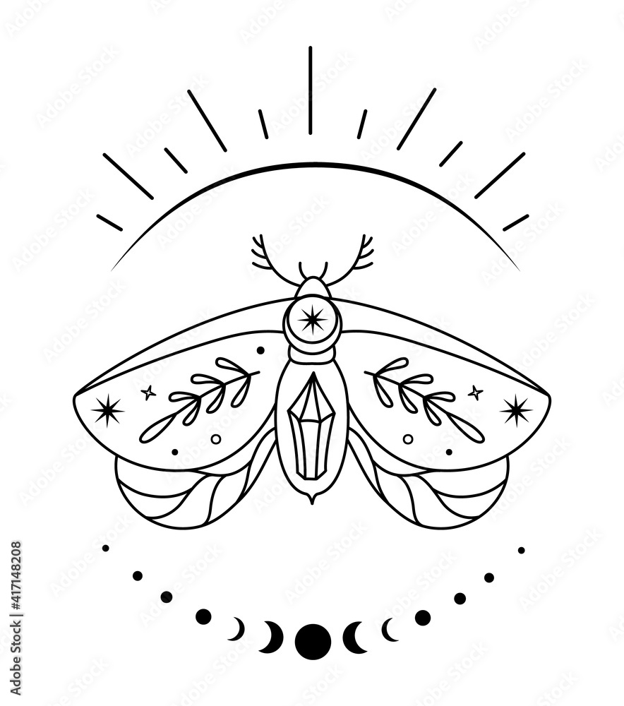 Mystical boho moth in outline style. Vector magic butterfly. Vintage ...