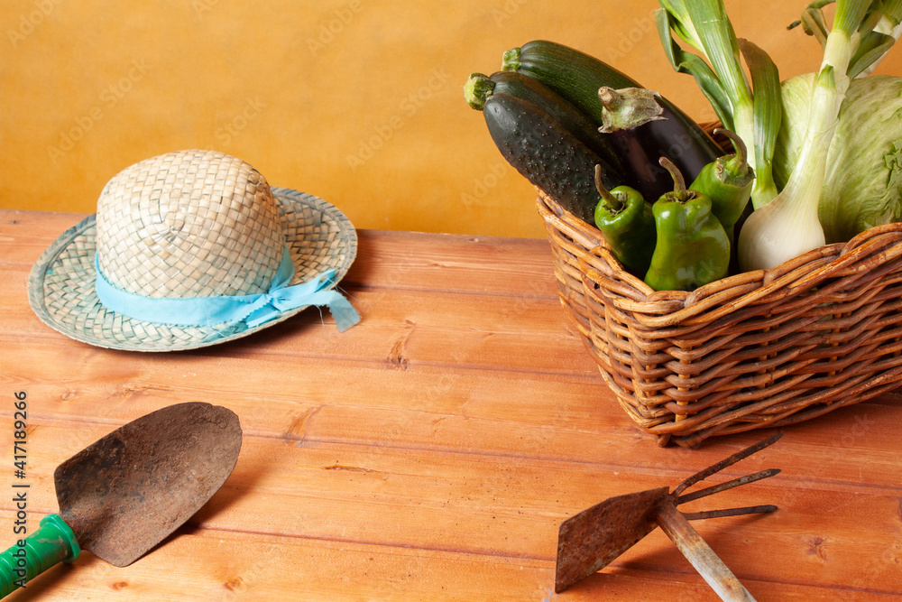 Vista de una canasta de verduras y hortalizas en una canasta de esparto ...