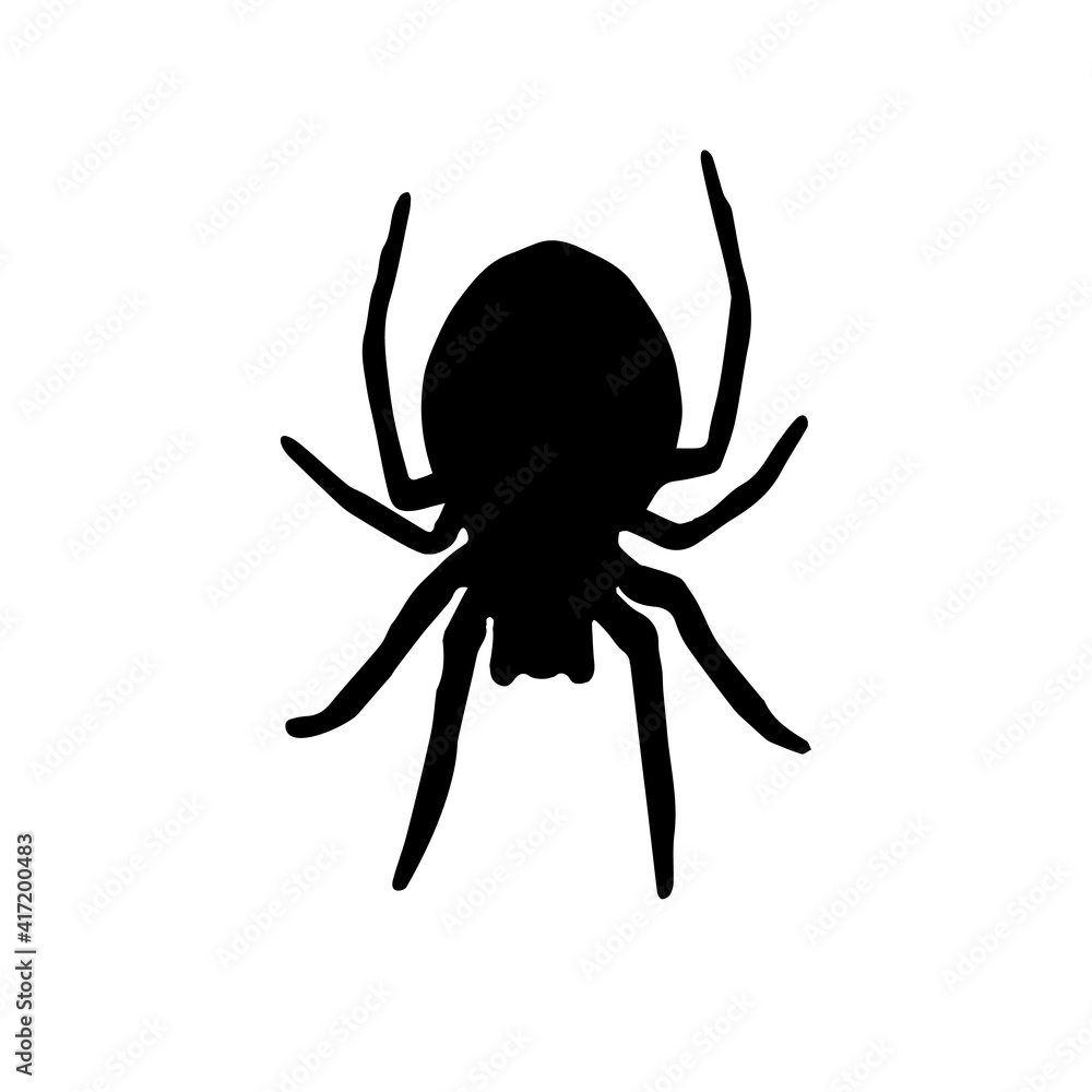 Spider Black Widow. Black bug spider silhouette, isolated white ...
