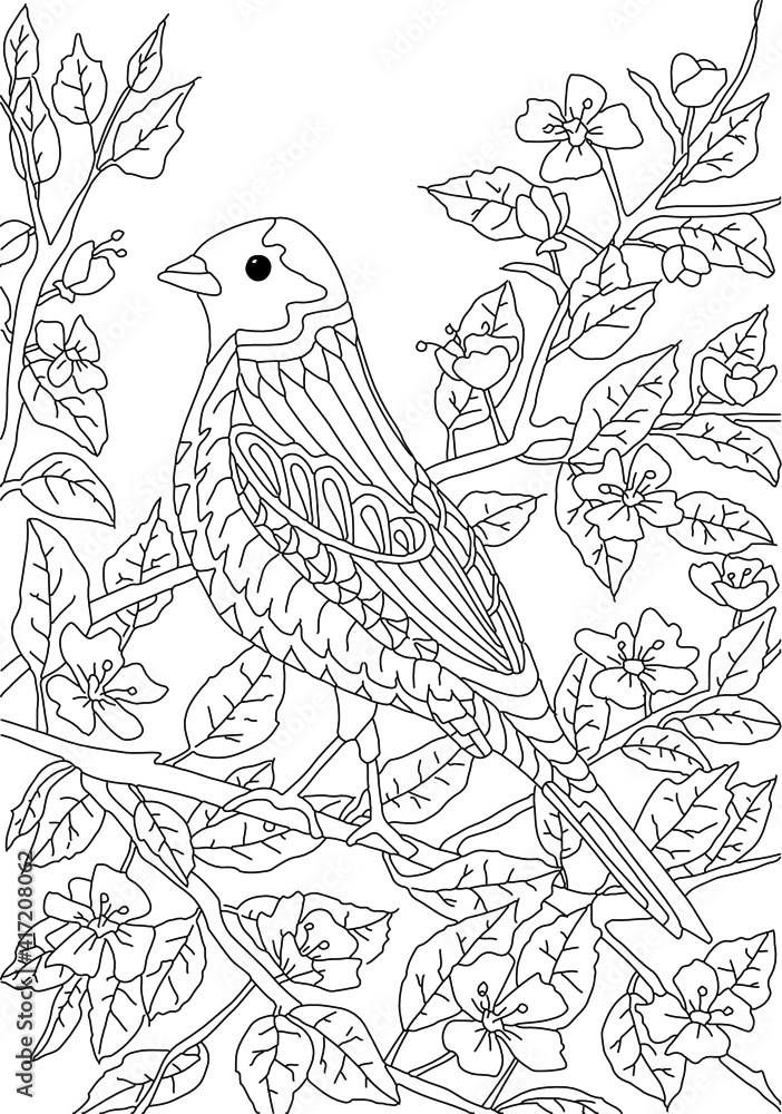 Hand drawing coloring for kids and adults. Beautiful drawings with ...