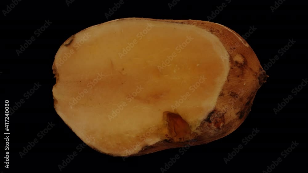 Realistic render of a spinning cut Yacon Root on transparent background ...