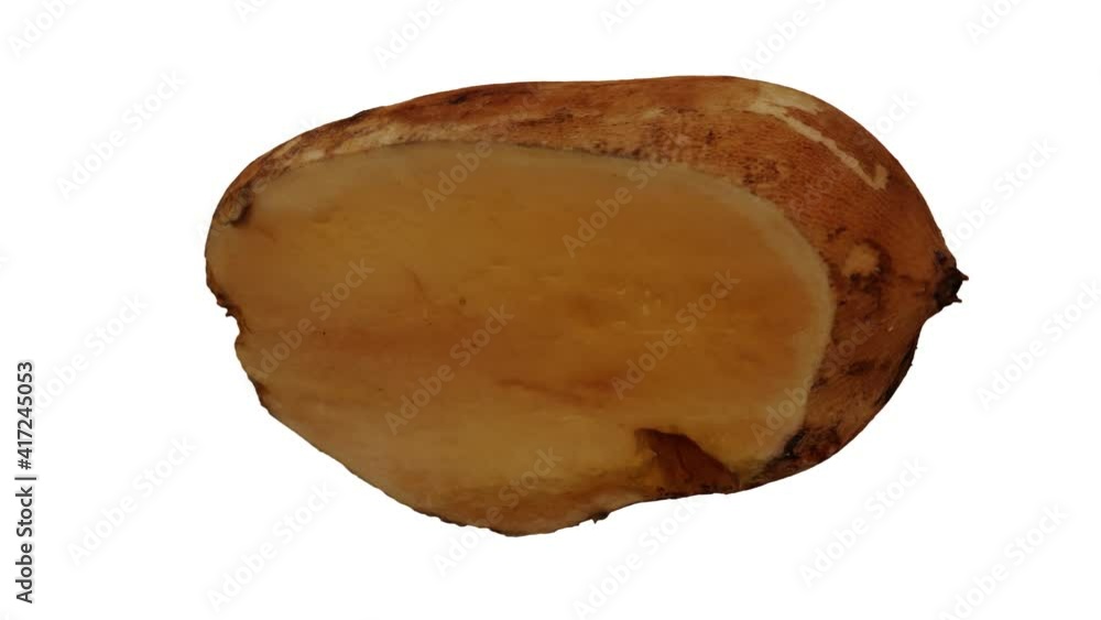 Realistic render of a rotating cut Yacon Root on white background. The ...