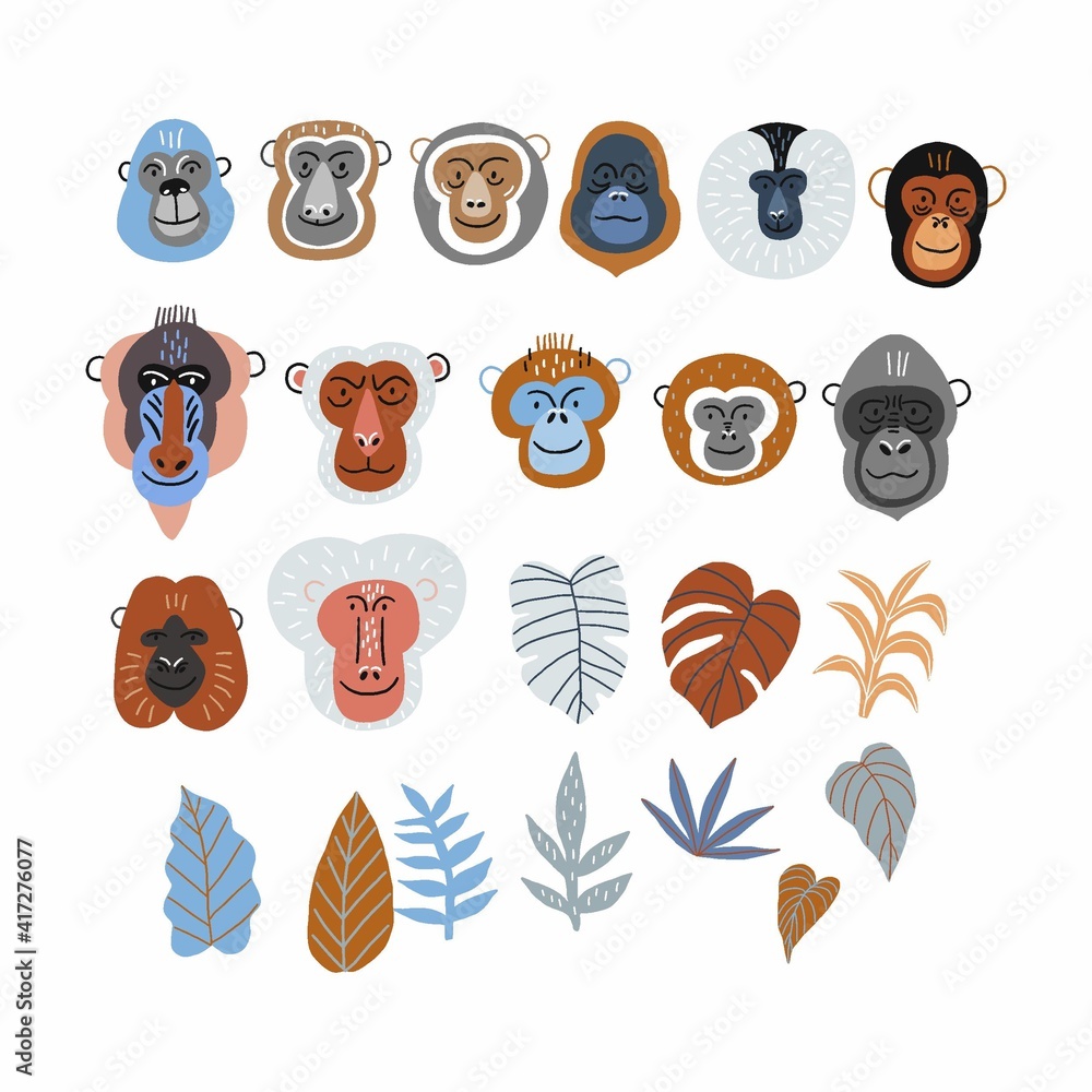 Cute vector primates in flat style. Chimpanzee, Orangutan, Gorilla ...
