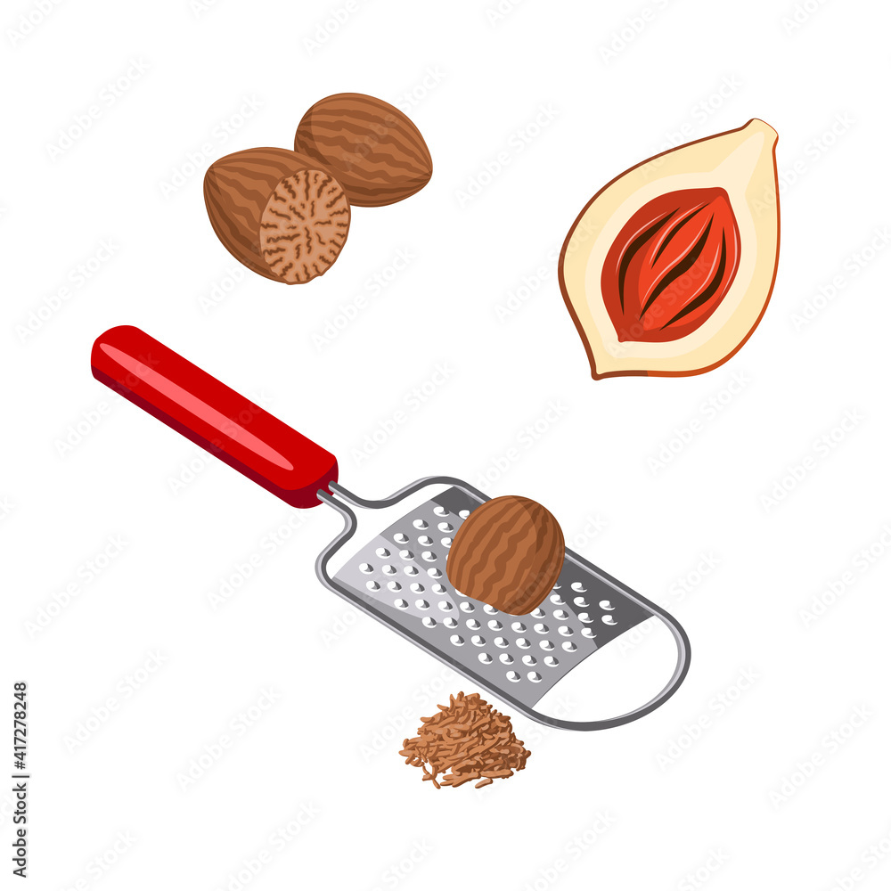 Nutmeg set - whole fruit, grating nut. Vector illustration of cartoon ...