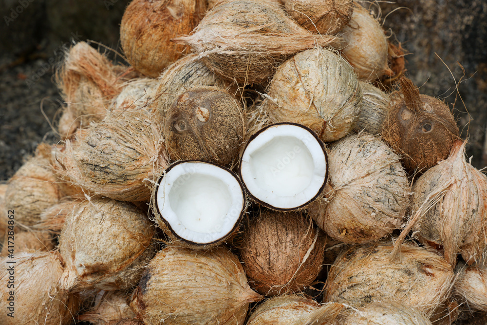 Coconut cut in half and whole coconuts in organic farm. A lot or heap ...