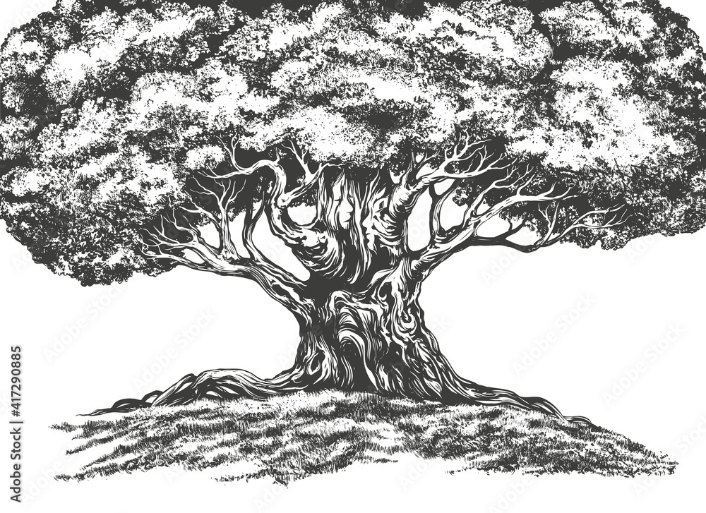 family tree hand drawn vector illustration realistic sketch Stock ...
