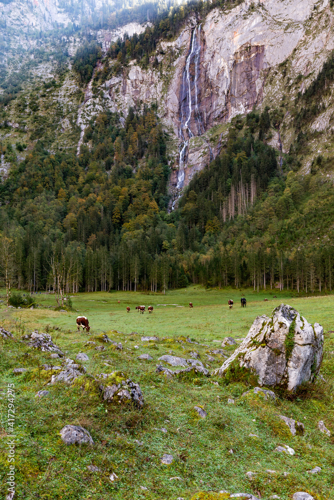 The Roethbachfall, the highest waterfall of Germany near the Obersee in ...